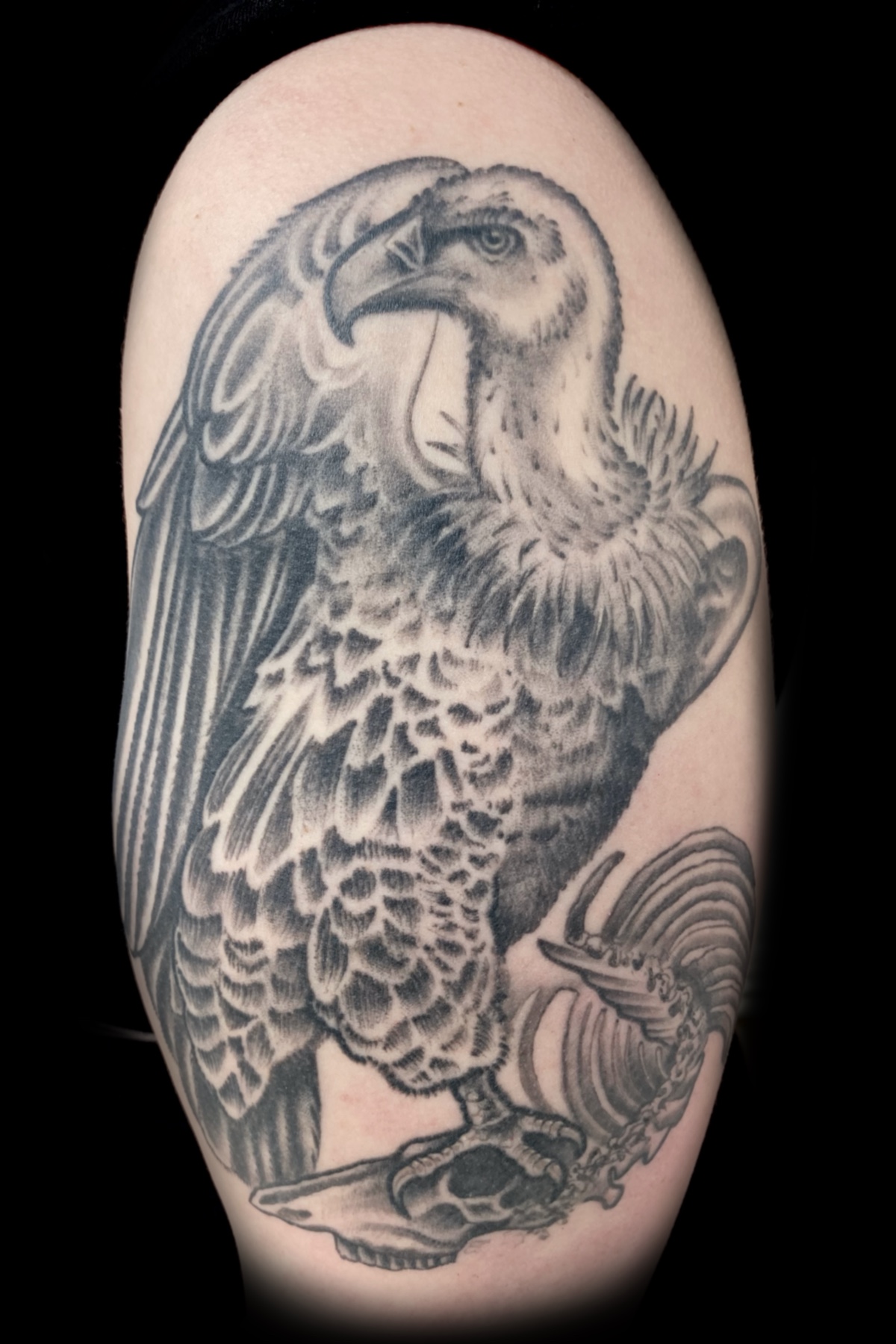 Jordan Miller ⋆ Floating World Tattoos