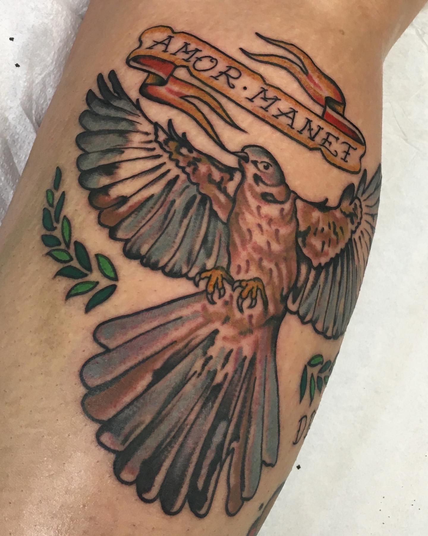 Evan Void – Floating World Tattoos